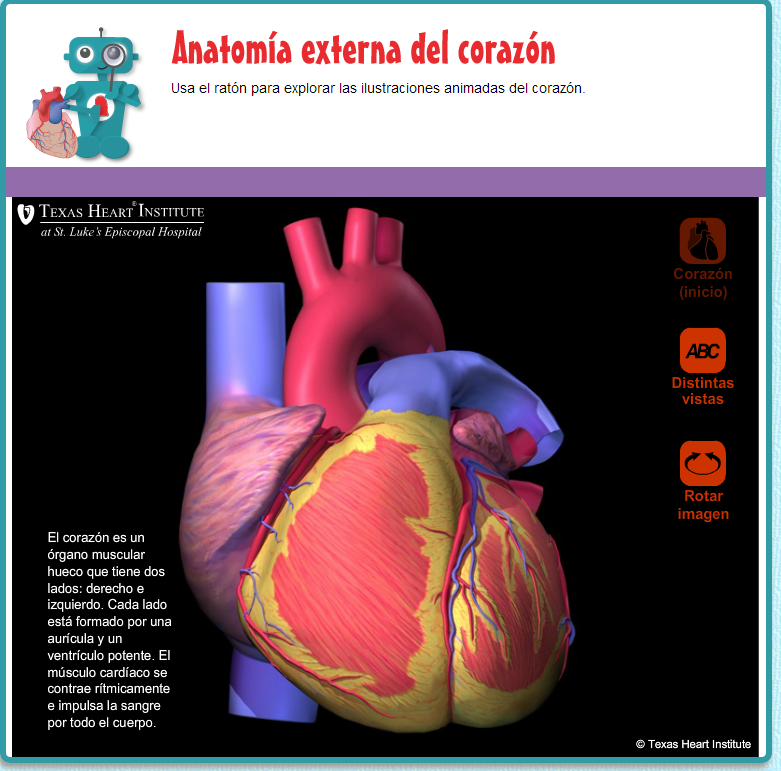 sistema circulatorio :: aprende digital